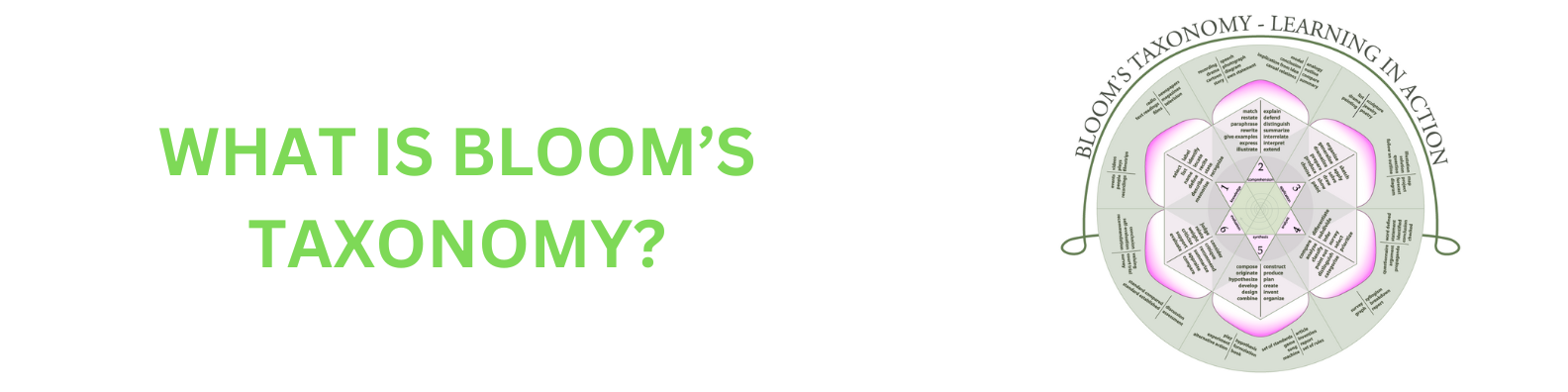 WHAT IS BLOOM’S TAXONOMY | SkillGP